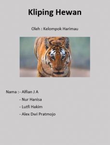 5 Contoh Kliping Hewan : Peliharaan, Herbivora, Karnivora, Omnivora