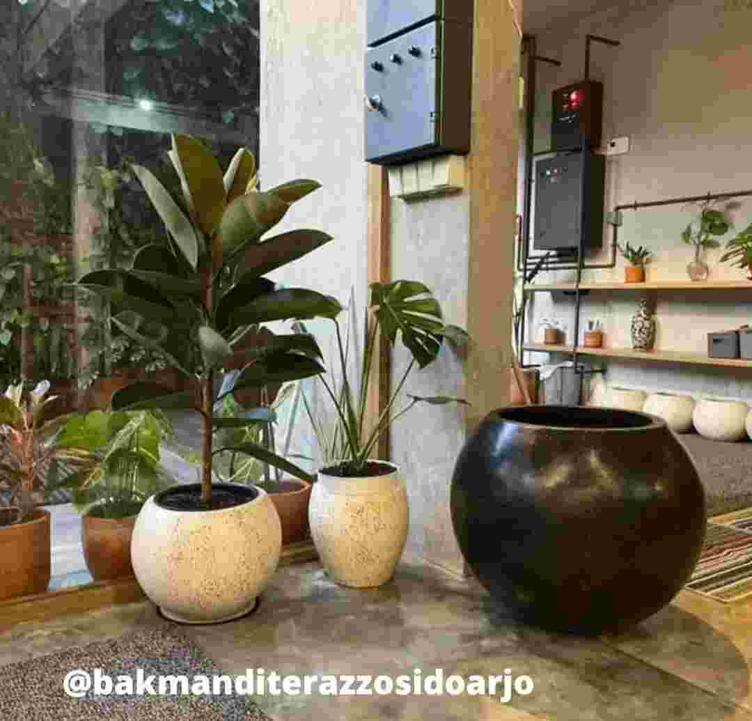 20+ Contoh Kata-kata Promosi Pot Bunga Yang Menarik